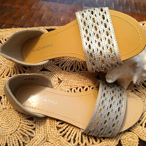 Andiamo | Shoes | Andiamo Womens Silver Slide Sandals | Poshmark